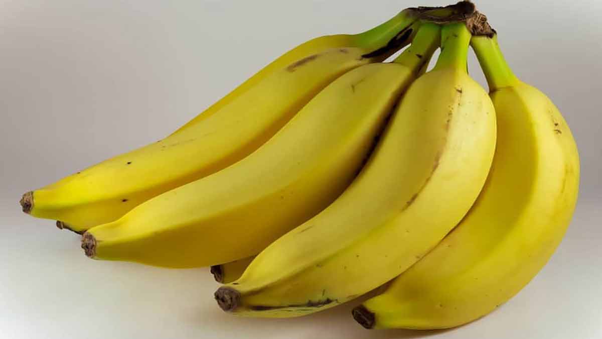 3 conseils pour conserver les bananes plus longtemps 3 conseils pour conserver les bananes plus longtemps